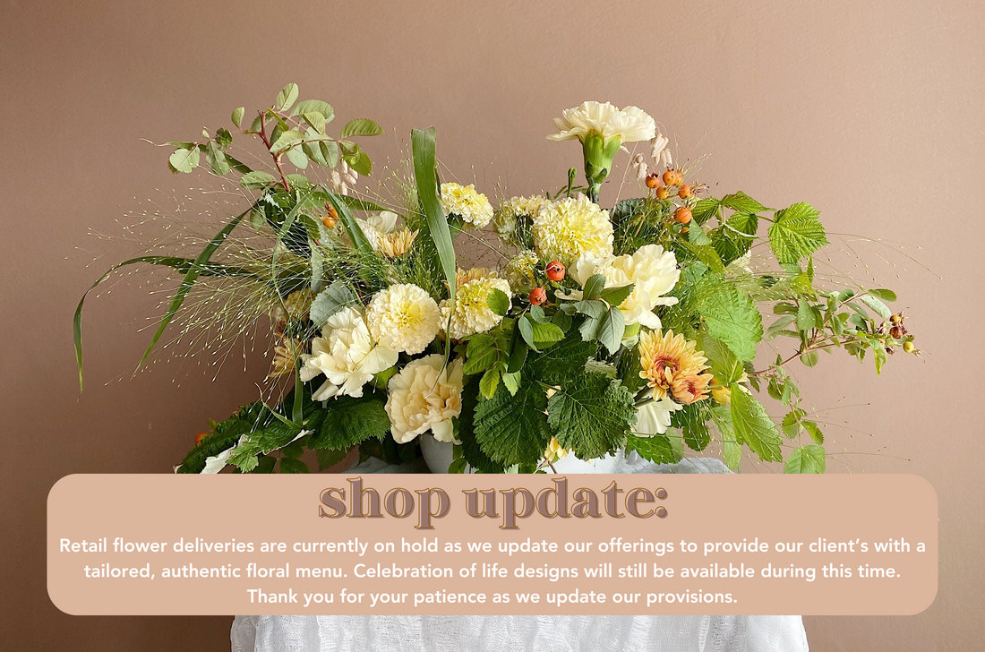 everyday flowers – Adelaide Co. Floral